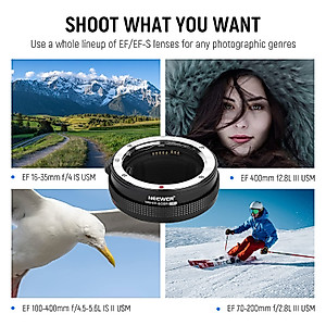 NEEWER EOS EF to RF Lens Adapter, Auto Focus Lens Mount Adapter with Control Ring, Compatible with Canon EF/EF-S Lens EOS R EOS Ra EOS RP EOS R5 EOS R6 EOS R3 - NW-EF-EOSR ARC, Max Load: 4.4lb/2kg