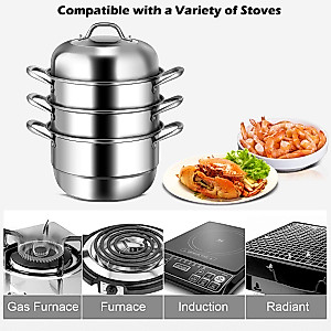 COSTWAY 4-Tier Steamer for Cooking, 11 Inch Stainless Steel Steamer Pot with Tempered Glass Lid, Handles on Both Sides, Includes 2 Steaming Septa, Dishwasher Safe, Ideal for Vegetable, Food, Kitchen