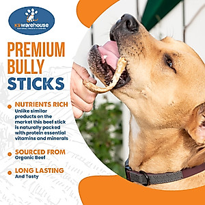 K9warehouse® - Curly Bully Sticks for Dogs - 5 to 8 inch, 6 Pack - High Protein, Odor Free Springs, Natural Pizzle Spiral Dog Chews - Perfect Treats for Small, Medium, Large Dogs - Rawhide Alternative