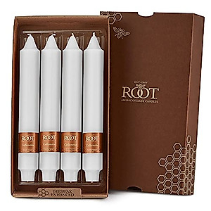 Root Candles Unscented Smooth Collenette 9-Inch Dinner Candles, Box of 4, White