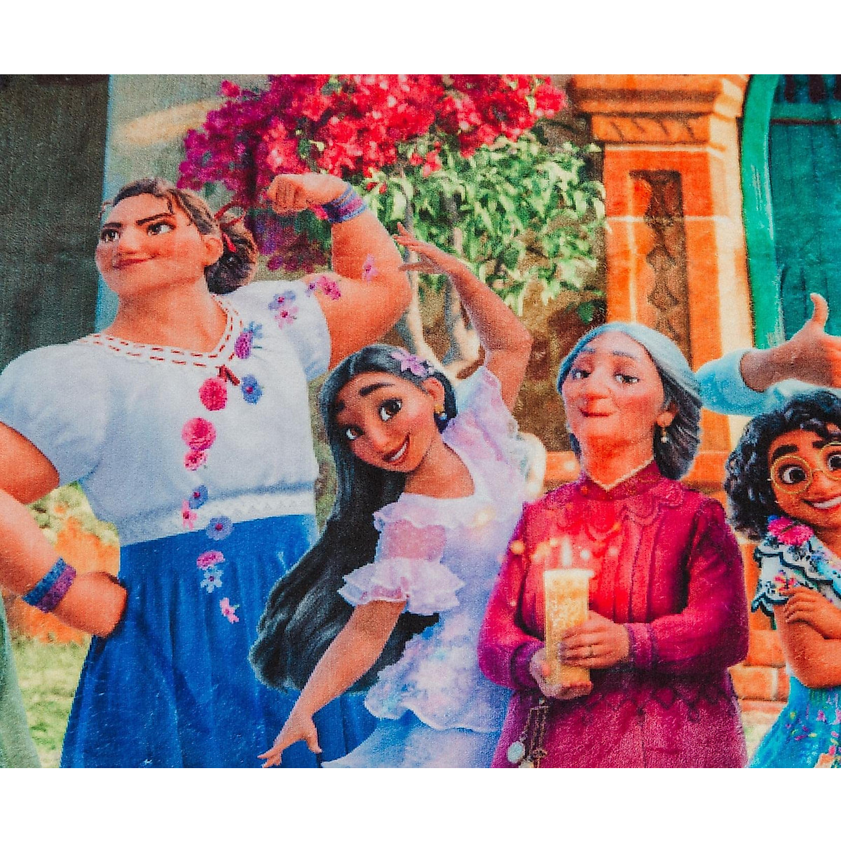 Disney Encanto Family Portrait Silk-Touch Fleece Throw Blanket With Blue Sherpa Backing | Plush Soft Polyester Cover For Sofa and Bed, Cozy Home Decor, Luxury Room Essentials | 50 x 60 Inches