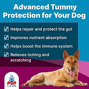 Pup Labs K9 Belly Bliss, All-Natural Gut Health for Dogs, Vet Approved Prebiotic for Dogs for Daily Digestive Support and Dog Constipation Relief, Easy to Use Topper for Dry and Wet Food, 30 Scoops.