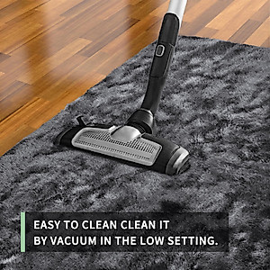 Sour Lemon 8x10 Area Rugs for Bedroom, Living Room Fluffy Rug, Large Area Rug Shag Shaggy Carpet Soft Plush Furry Bedside Rugs, Machine Washable Area Rugs for Kids Girls Boys Home Decor Anti Slip