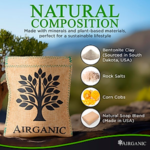Airganic Moisture Absorbers, Safe Dehumidifier - USA-Made & All Natural from Minerals - Reusable Dessicant, Safe Accessory, Car Dehumidifier, Closet Dehumidifier - Kid & Pet Friendly (1 Pack)