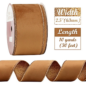 HUIHUANG Copper Christmas Wired Ribbon 2-1/2" Copper Velvet Tree Ribbon with Glitter Copper Backing, for Christmas Tree, Tree Top Bows, Wreath, Garland, Home Decor Crafts- 10 Yards