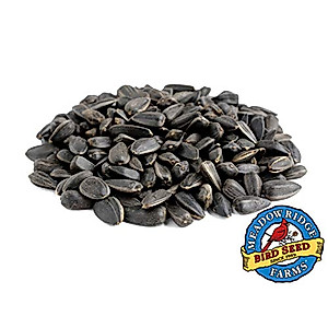 Meadow Ridge Farms Black Oil Sunflower Bird Seed, 40-Pound Bag
