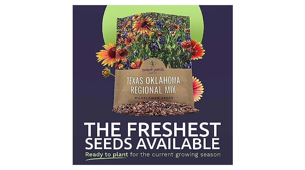 Texas Oklahoma Wildflower Seeds - 15,000 Seeds in 1 oz