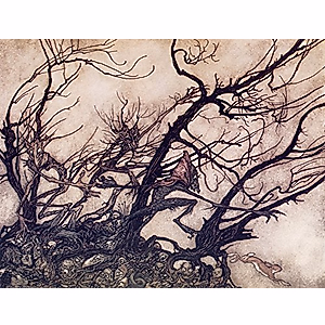 Rip Van Winkle 1905 Abode of spirits Poster Print by A Rackham (18 x 24)