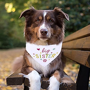 Hujiao-Zi Big Sister Pregnancy Announcement Dog Bandana, Gender Reveal Photo Prop, Accessories Pet Scarves for Dog Lovers Owner Gift