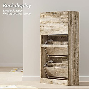 DiDuGo Shoe Cabinet with 3 Mirrored Flip Drawers, Slim Shoe Storage Cabinet for Entryway Brown (22.4”W x 9.6”D x 42.1”H)