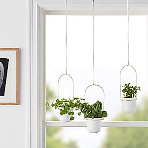Umbra 1011748-524 Triflora Hanging Planters for Indoor Plants or Herbs, White/Brass,42" Width