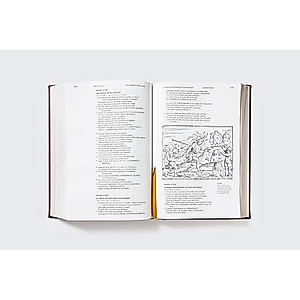 Biblia Católica, Ilustrada, Piel genuina, Café, Comfort Print (Spanish Edition)