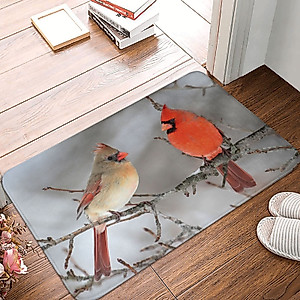 Bath Rugs Cute Cardinal Birds Standing on Branches Door Mat Outdoor Winter Birds Natural Design Doormat Non Slip Absorbent Bathroom Rug Carpet for Home Entrance Kitchen 16x24in