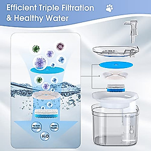 Kactoily Water Fountain for Cats Inside Pet Fountain Cat Water Dispenser Automatic 61oz/1.8L Ultra-Quiet Cat Drinking Fountains(USB Adapter, Brush, Cloth, 2*Filter)