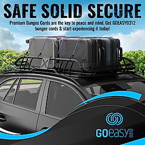 GOEASY0312 Premium Bungee Cords Heavy Duty - 20 pcs Bungee Cords with Hooks in A Storage Jar Includes 10", 18", 24", 30", 36", 48" Bungie Cord Bundle