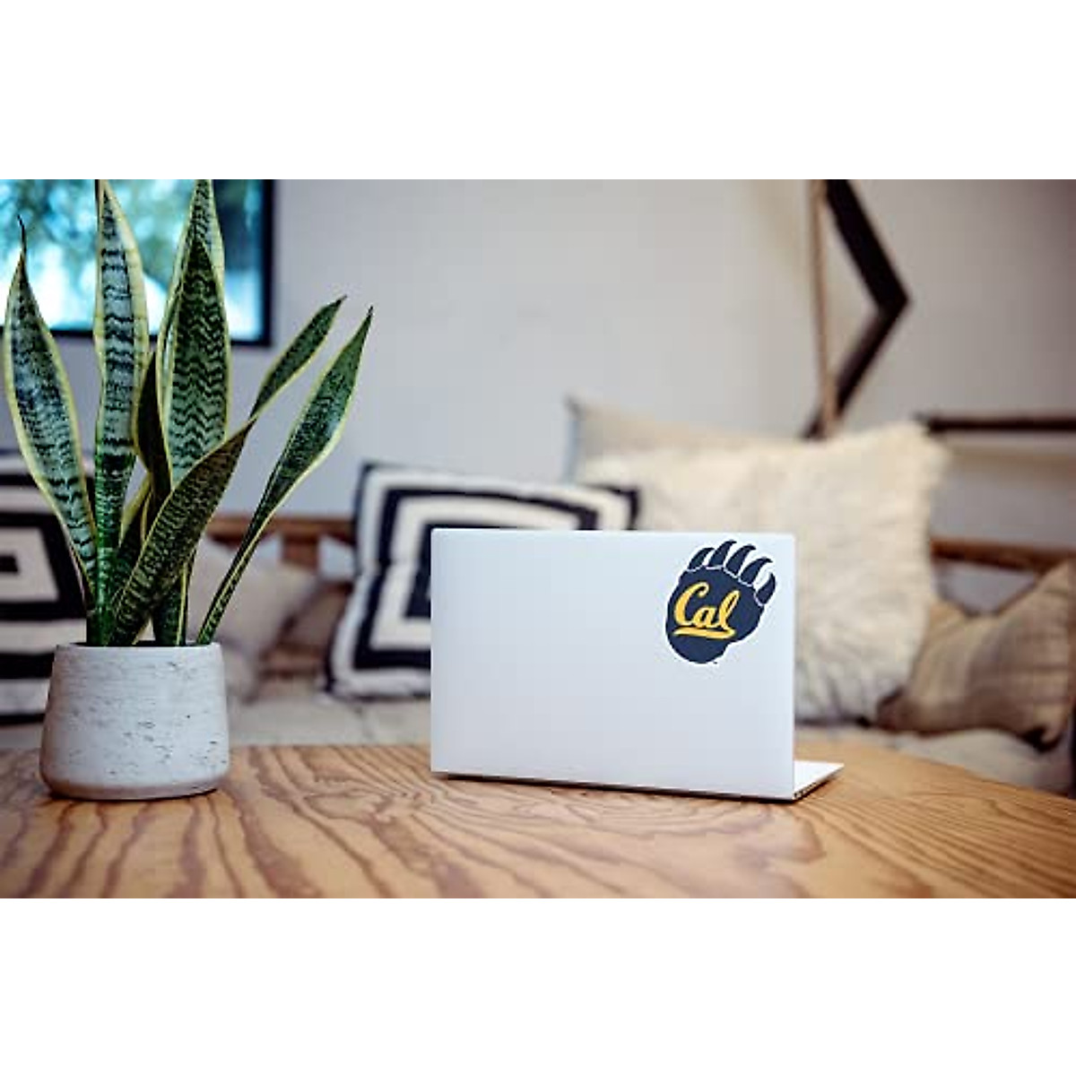 Nudge Nudge Printing University of California Berkeley Sticker Golden Bears Paw and Cal Footprint Logo Car Decal Heavy-Duty Officially Licensed NCAA Vinyl for Bumpers, Window, Laptops, or Coolers