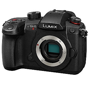 Panasonic LUMIX GH5II Mirrorless Camera Bundle with 128GB SD Card, Bag, Extra Battery, Charger, Wrist Strap, Screen Protector, Cleaning Kit