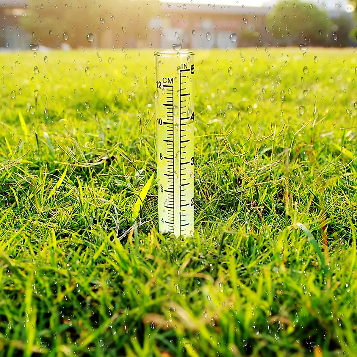 TBWHL 2pcs 5" Capacity Rain Gauge Glass Replacement Tube for Yard Garden Outdoor Home