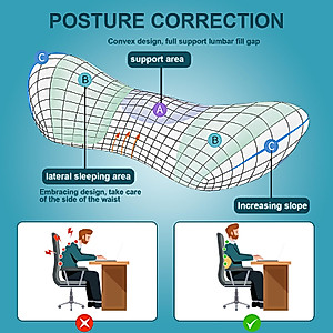 kasney Lumbar Support Pillow for Chair, Comfortable Low Back Pillow for Back Pain Relief Improve Posture, Ergonomic Streamline Neo Cushion for Car Seat, Office Chair, Recliner and Bed (Beige)
