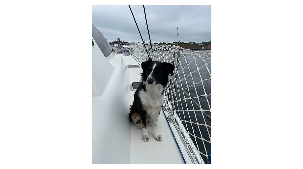 Secure Your Deck with Salty Reef Lifeline Netting