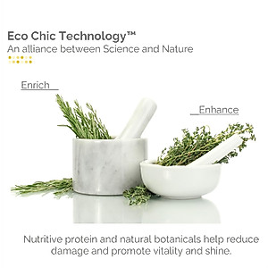 GIOVANNI Nutrafix Hair Reconstructor - Moisturizing Repair for Damaged Hair, Infused with Natural Botanical Ingredients, Encourages Thickness & Volume, Color Safe, Salon Quality - 6.8 oz (3 Pack)