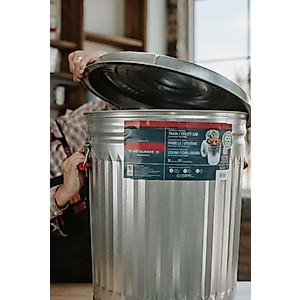 Generic 31 Gallon Galvanized Steel Round Metal Household Trash Can with Lid, Grey