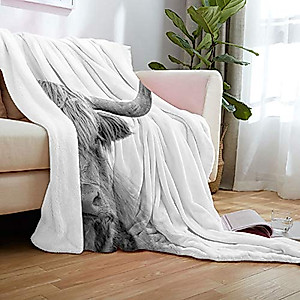 Clouday Flannel Fleece Bed Blanket Soft Throw-Blankets for Sleep,Grey Animal Highland Cow Pattern,Lightweight Baby Blankets for Bedroom Living Room Sofa Couch,49x59 Inch