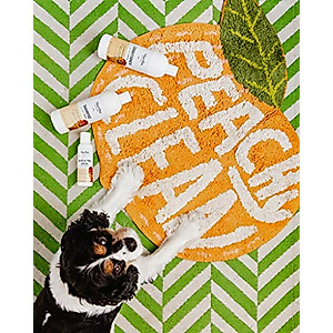 Martha Stewart for Pets All-Purpose Conditioner for Dogs with Oatmeal and Aloe | Oatmeal Dog Conditioner is Naturally Moisturizing, Soothing, and Nourishing for All Dogs | 16 Ounces