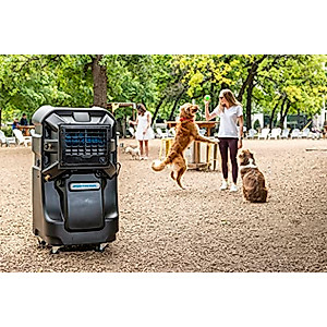 Portacool PACJS2301A1 Jetstream 230 Portable Evaporative Cooler, Black