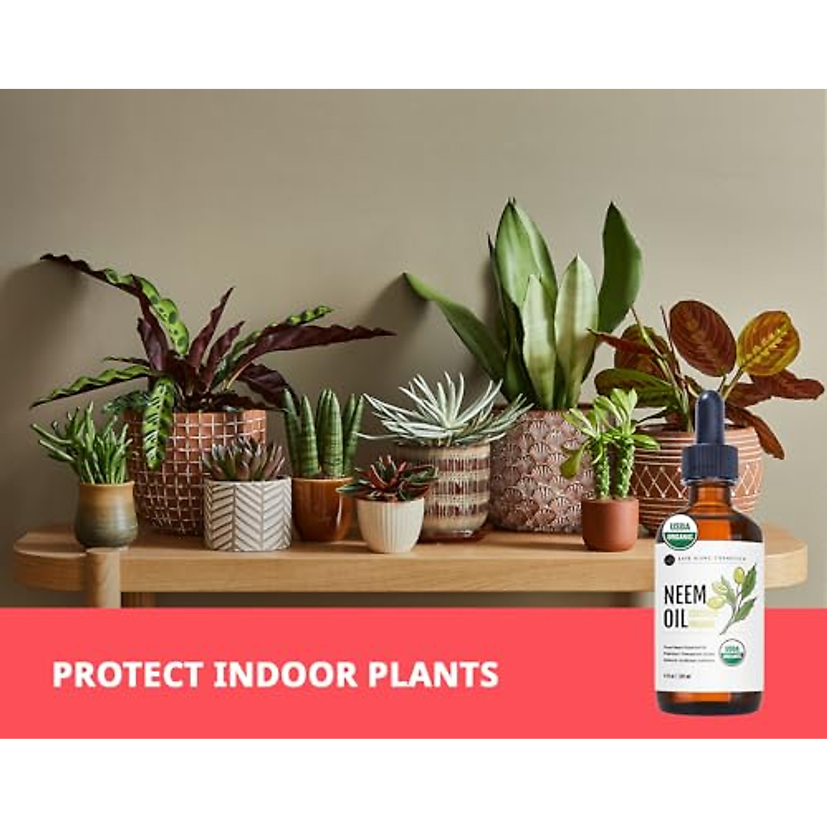 Kate Blanc Cosmetics Neem Oil for Skin, Hair & Face. Safe for Dog, Plants, Scalp & Hair Growth (4oz, Organic, Cold Pressed, Concentrate)