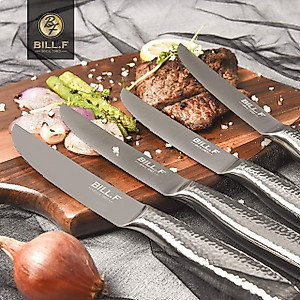 BILL.F Steak knives Serrated Steak Knife Set Stainless Steel Steak Knife Set of 4