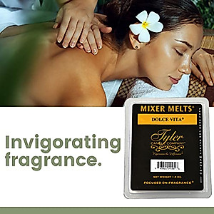 Worldwide Nutrition Tyler Candle Company Dolce Vita Scent Wax Melts - Soy Wax Scented Mixer Melts with Essential Oils for Wax Warmer - Pack of 4, 6 Bars per Melt Multi Purpose Key Chain