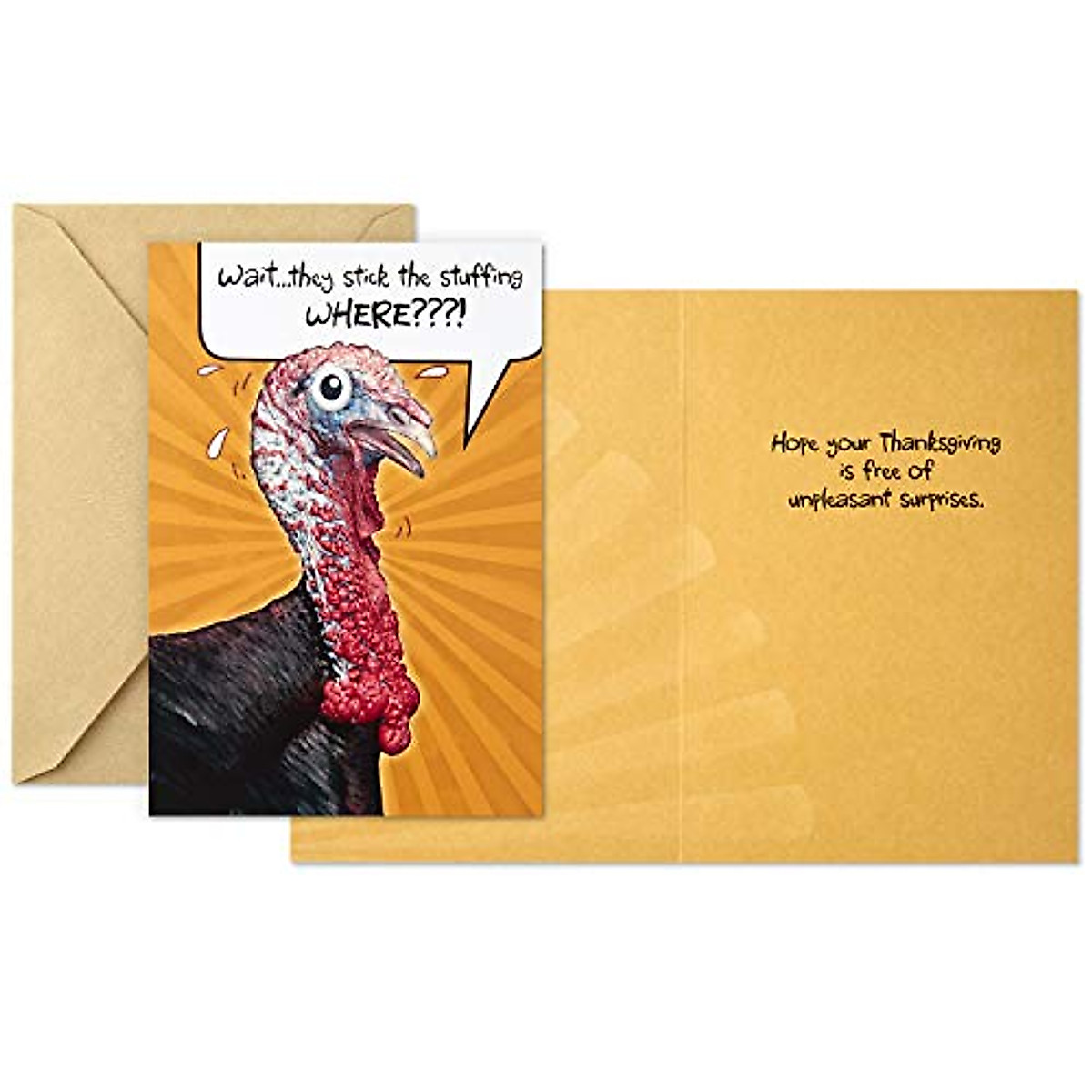 Hallmark Funny Shoebox Funny Thanksgiving Card Assortment (6 Cards with Envelopes)