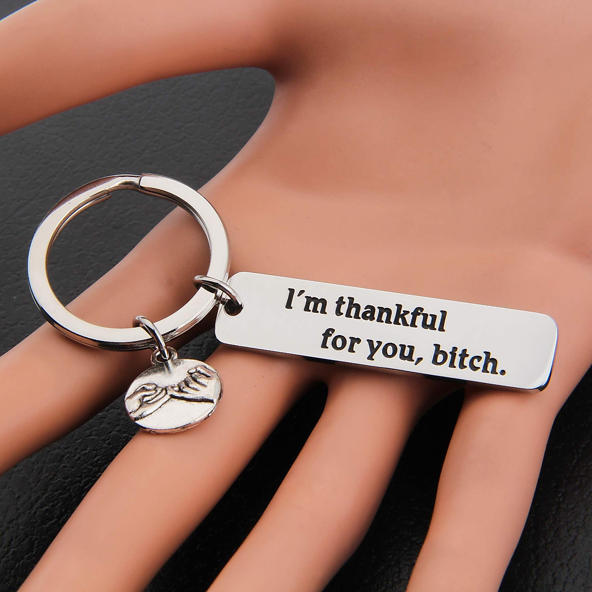 Lywjyb Birdgot Best Friend Gift Funny Friends Keychain I'm Thankful For You Bitch Friendship Keychain Gift (Thankful For You Bitch)