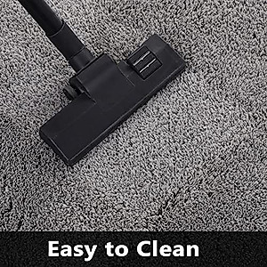 CAROMIO Soft Shaggy Rugs Plush Indoor Modern Faux Fur Area Rugs for Bedroom Luxury Fluffy Carpets Non-Slip Nursery Rugs Shag Rug Home Decor for Living Room Floor Kids Rooms, Light Grey, 4' x 6'