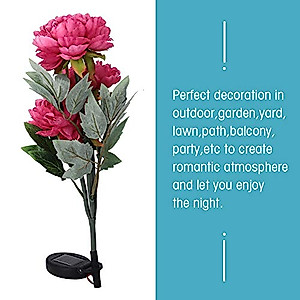 DERCLIVE Solar Power LED 3 Heads Simulation Peony Rose Flower Light for Home Garden Lawn Decor