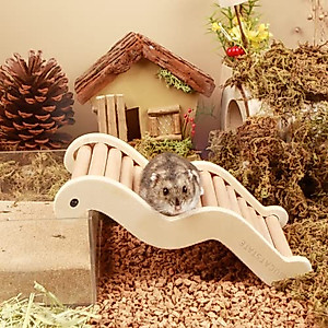 BUCATSTATE Hamster Climbing Ladder, Wooden Climbing Toy and Bridge Cage Decor for Hamsters Gerbils Mice and Small Animals (Snake Pattern)
