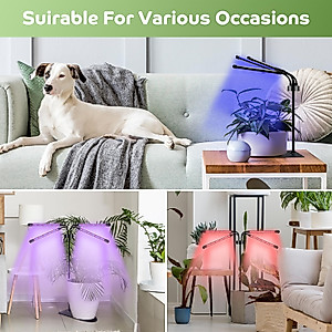 Shyineyou Grows Lights for Indoor Plants Full Spectrum, Plant Light for Indoor Plant with 3/9/12H Timer, 3 Switch Modes, Dimmable Plant Grow Light