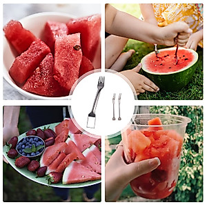 Watermelon Slicer Fork and 2pcs Fruit Forks, Fruit Cutting Fork 2-in-1 Watermelon Fork Slicer Cutter Stainless Steel Fruit Fork Cutter for Party Camping