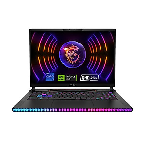MSI Raider GE78HX 17” 240Hz QHD+ Gaming Laptop: Intel Core i9-13950HX, NVIDIA Geforce RTX 4090, 64GB DDR5, 2TB NVMe SSD, Thunderbolt 4, Cooler Boost 5, Win 11 Pro: Gray 13VI-086US