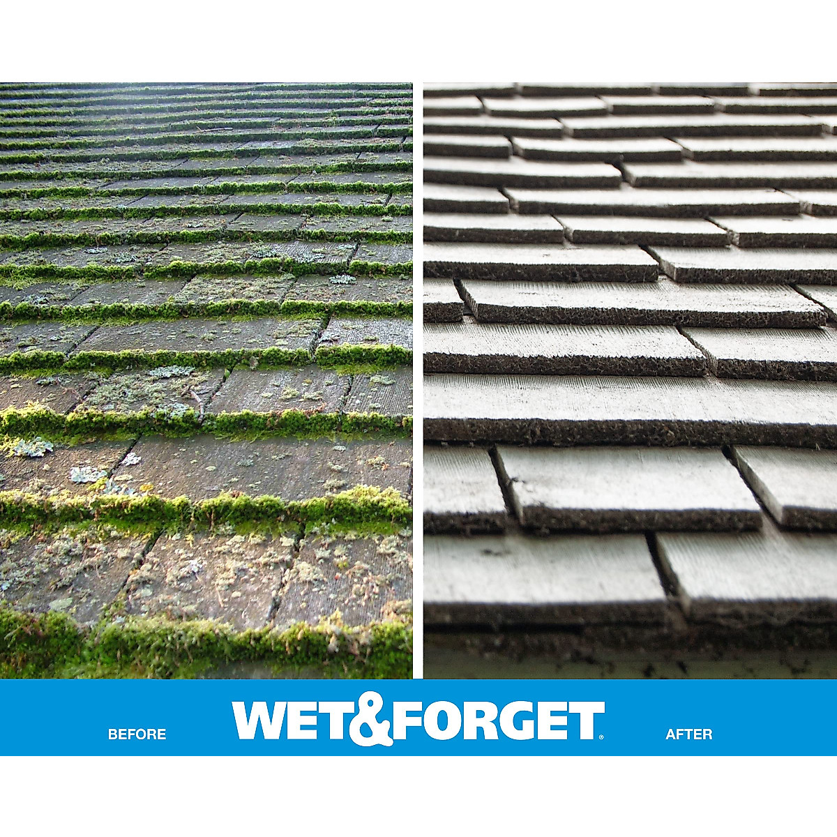 Wet & Forget Moss, Mold, Mildew, & Algae Stain Remover Multi-Surface Outdoor Cleaner Concentrate, Original, 128 Fluid Ounces