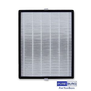 PUREBURG Replacement Filter Set Compatible with COLZER EPI-328 Air Purifier & Domccy NS-320 Air Purifier, H13 HEPA + 4 Activated Carbon Pre-Filters Air Clean