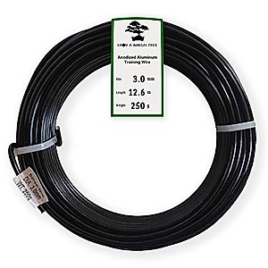 Anodized Aluminum 3.0mm Bonsai Training Wire 250g Large Roll (40 feet) - Choose Your Size and Color (3.0mm, Black)