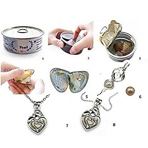 Pearlina Mother Mom Family Necklace Silver-tone Cage Cultured Pearl in Oyster Set w/Stainless Steel Chain 18"