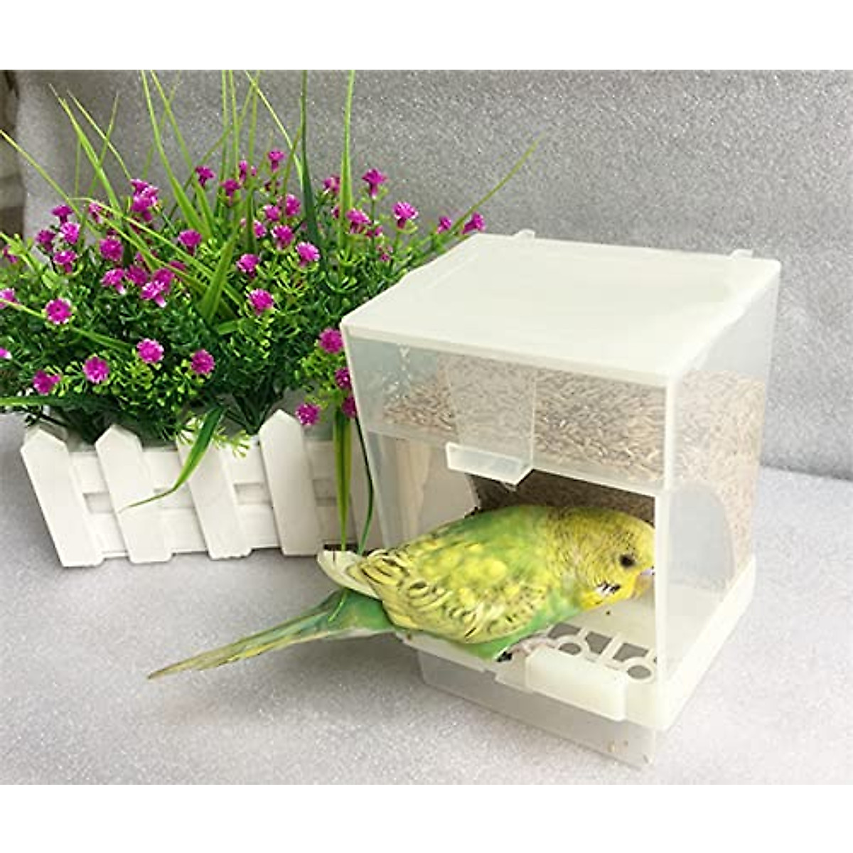 Spill-Proof No-Mess Pet Bird Feeder Parrot Automatic Feeder Seed Food Container Perch Cage Accessories for Budgerigar Canary Cockatiel Finch Parakeet Green Cheek Conures Parrotlets