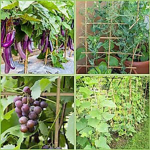 Plant Stakes,4FT Longer Sturdy Natural Bamboo Garden Stakes,GAGINANG 25Pcs Bamboo Sticks Trellis Support for Tomato, Vegetables Beans Trees Climbing Plants