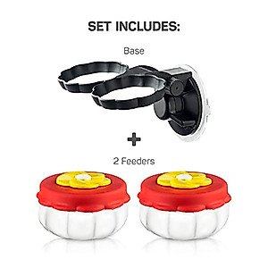 Handheld Small Glass Hummingbird Feeders (Set of 2) with Window Suction Mount Base - Window/Handheld or Tabletop Mini Hummingbird Feeders for Outdoors