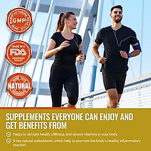PURALITY HEALTH Curcumin Gold, from Turmeric with Ginger Oil & DHA Omega-3s, Micelle Liposomal Enhanced Absorption, Joint Health, 15 Day Supply
