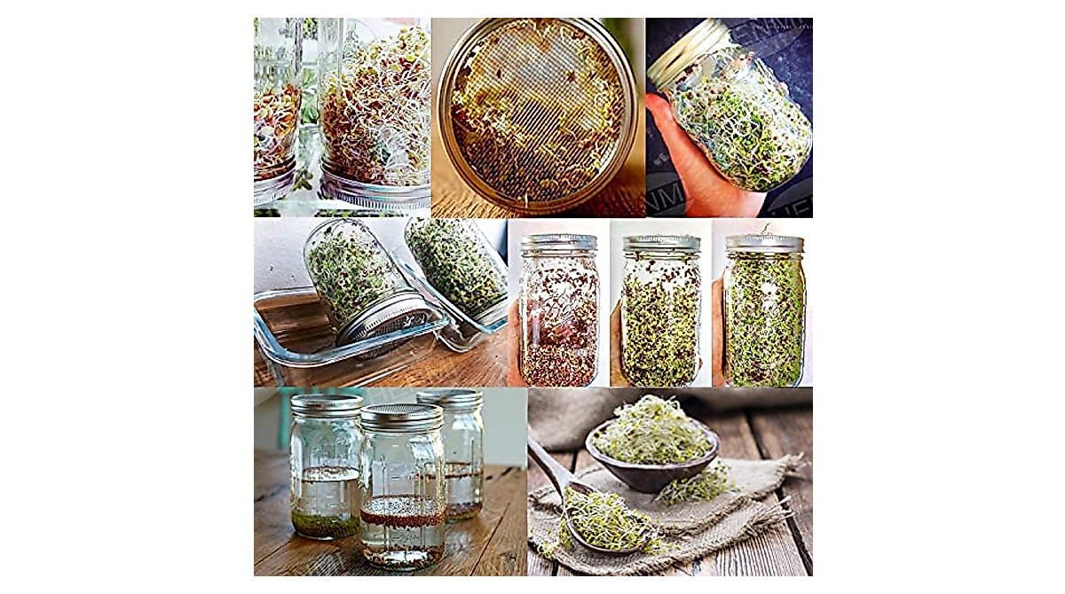 Home Seed Sprouting Kit | Grow Fresh Broccoli, Alfalfa & More