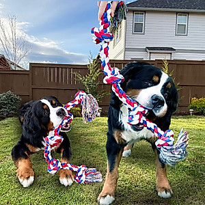 Youngever 2 Pack 3.5 Feet Dog Rope Toys for Aggressive Chewers, Tough Rope Chew Toys for XL, Large Dog, Indestructible Rope
